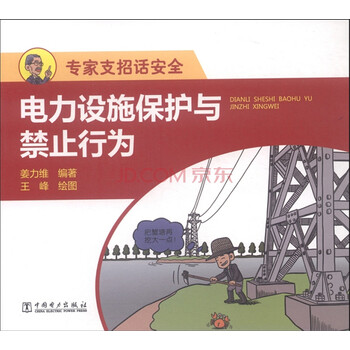 专家支招话安全：电力设施保护与禁止行为