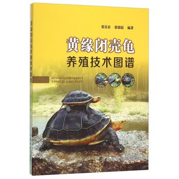 黄缘闭壳龟养殖技术图谱