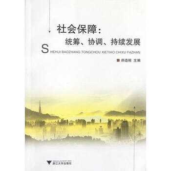 社会保障:统筹.协调.持续发展 社会科学 书籍 分类 社会保障