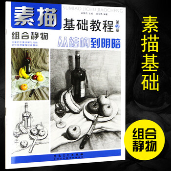 素描基础教程从结构到明暗第3册组合静物 初学者零基础素描静物书 美术石膏几何体速写基础 安徽美术出版