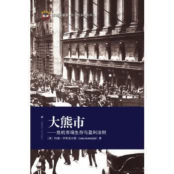  大熊市——危机市场生存与盈利法则 