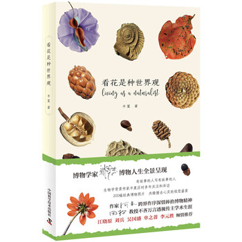 看花是种世界观