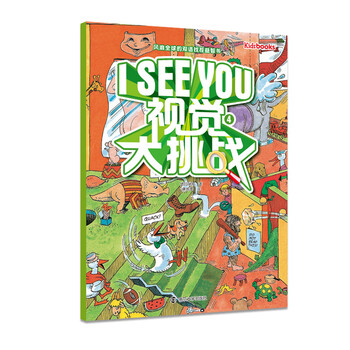 I See You：视觉大挑战4