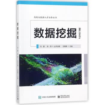 数据挖掘/高级大数据人才培养丛书