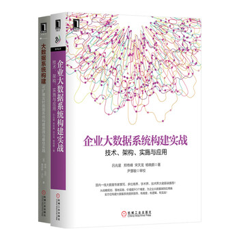企业大数据系统构建实战+大数据系统构建 套装共2册