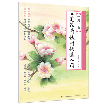 一周一画-工笔花卉枝叶快速入门