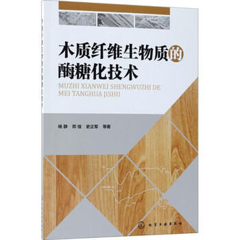 木质纤维生物质的酶糖化技术