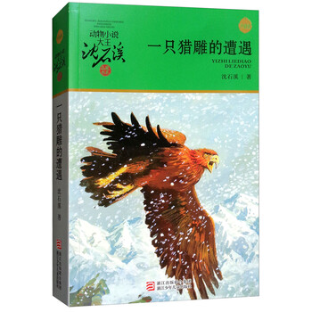 动物小说大王沈石溪品藏书系新版：一只猎雕的遭遇