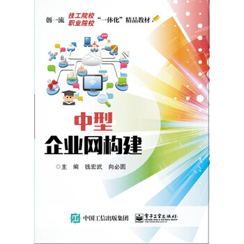 中型企业网构建