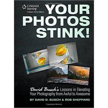 Your Photos Stink!  David Busch's Lessons in Ele