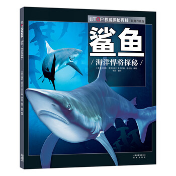 知否探索馆 UTOP权威探秘百科 鲨鱼