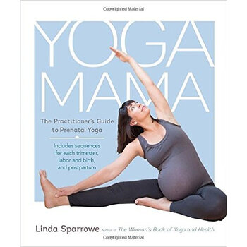 Yoga Mama  The Practitioner's Guide to Prenatal 