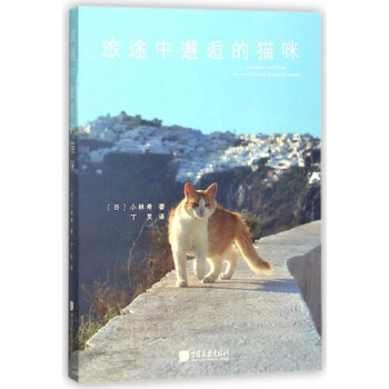 旅途中邂逅的猫咪