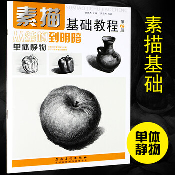 素描基础教程从结构到明暗第2册单体静物 初学者零基础素描静物书 美术石膏几何体速写基础 安徽美术出版
