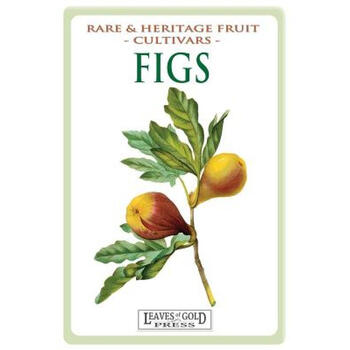 Figs: Rare and Heritage Fruit Cultivars #13