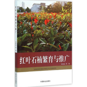 红叶石楠繁育与推广