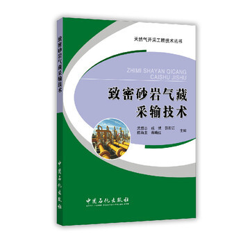 致密砂岩气藏采输技术