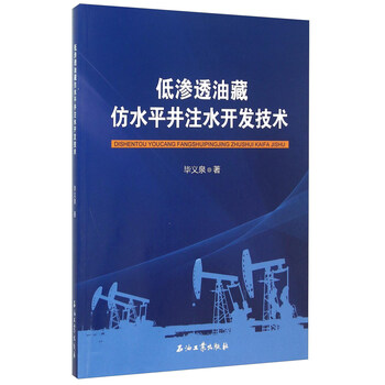 低渗透油藏仿水平井注水开发技术