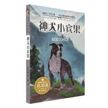 动物小说王国 沈石溪自选中外精品 神犬小宾果