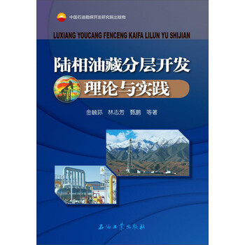 陆相油藏分层开发理论与实践