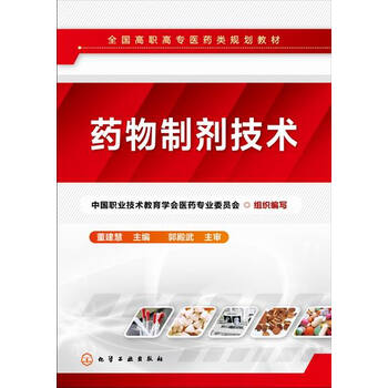 药物制剂技术 董建慧 主编