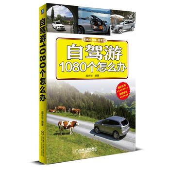 自驾游1080个怎么办/车博士书系