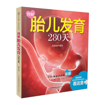 图解胎儿发育280天