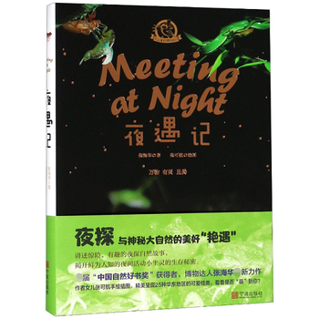 夜遇记