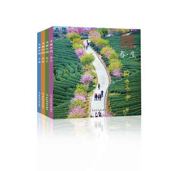 美丽中国（套装全4册）