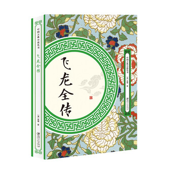 飞龙全传
