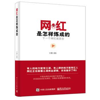 网红是怎样炼成的(博文视点出品)