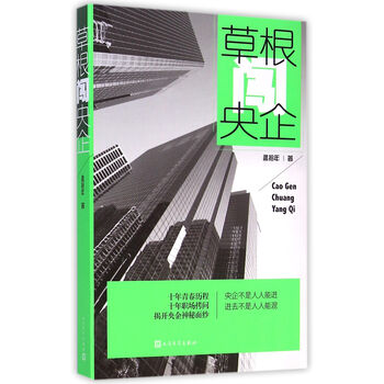 草根闯央企