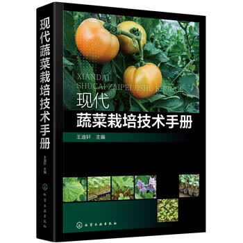 正版 现代蔬菜栽培技术手册9787122329431