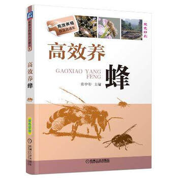 高效养蜂 张中印