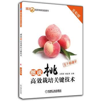 图说桃高效栽培关键技术(全彩) 桃树种植栽培技术书 桃新优品种配套书籍 桃绿色防控桃管理