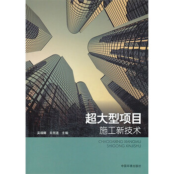 超大型项目施工新技术