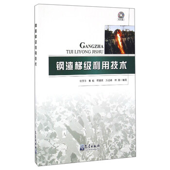 钢渣梯级利用技术（附光盘）