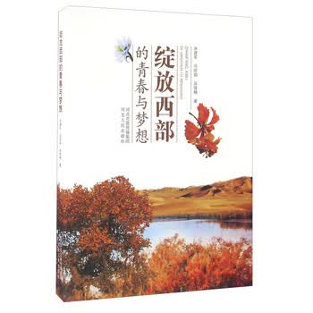绽放西部的青春与梦想