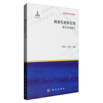 纳米孔材料化学：催化及功能化