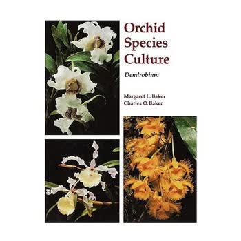 Dendrobium (Orchard Species Culture)