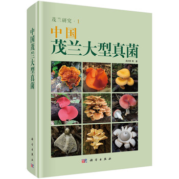 中国茂兰大型真菌