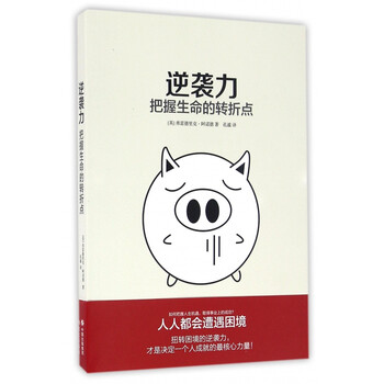逆袭力(把握生命的转折点)