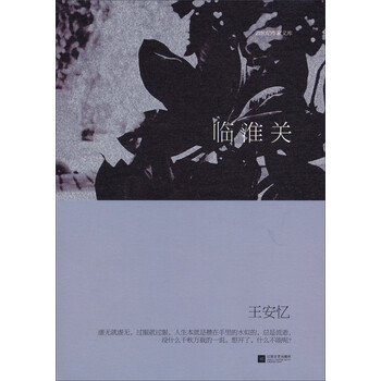21世纪作家文库：临淮关