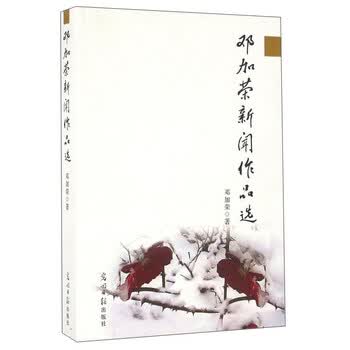 邓加荣新闻作品选