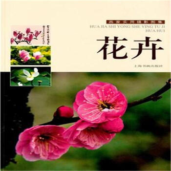花卉-画家实用摄影图集