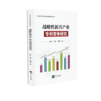 战略性新兴产业专利竞争研究