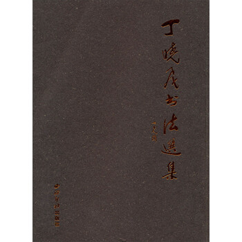 丁晓飞书法选集