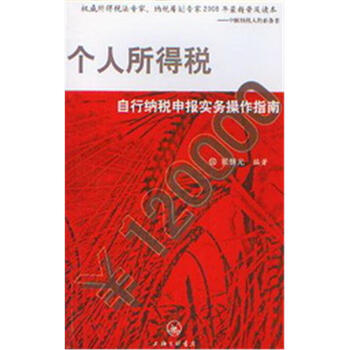 个人所得税自行纳税申报实务操作指南