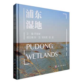 浦东湿地