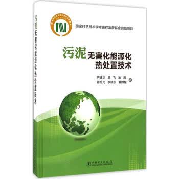 污泥无害化能源化热处置技术
